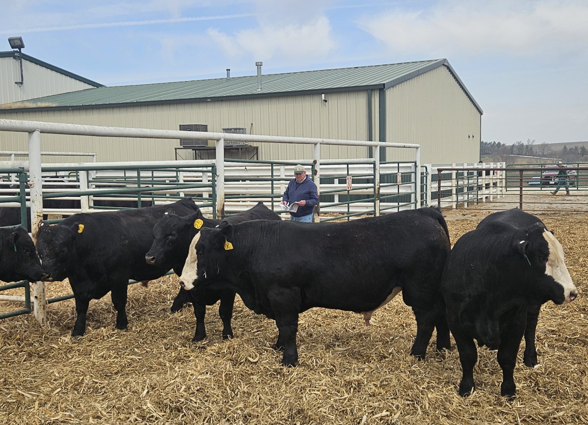 Iowa Beef Connection | TSLN.com