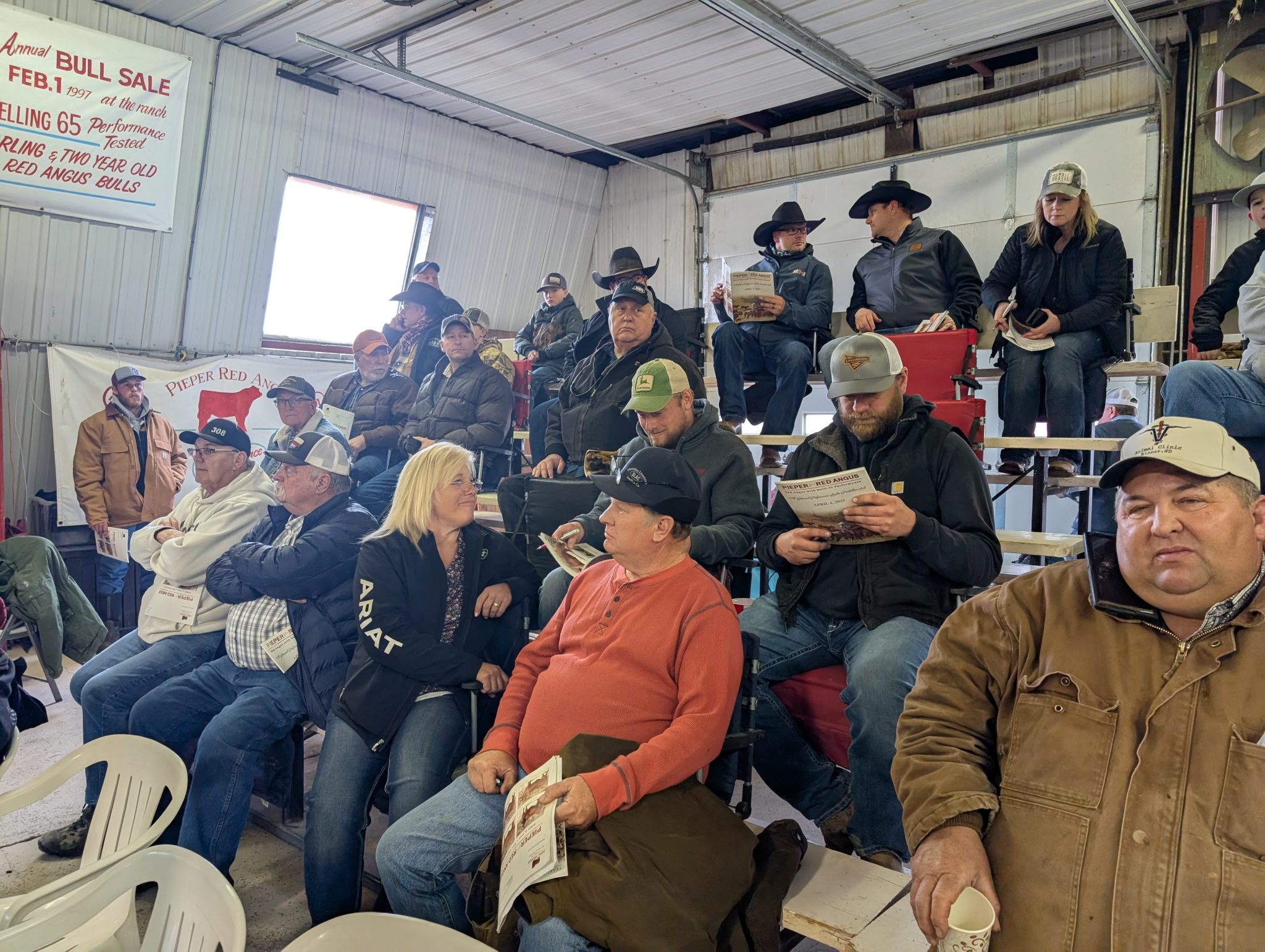 Pieper Red Angus 35th Annual Performance Leader Production Sale | TSLN.com