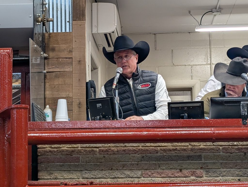 Grills 21st Annual Red Western Production Sale | TSLN.com