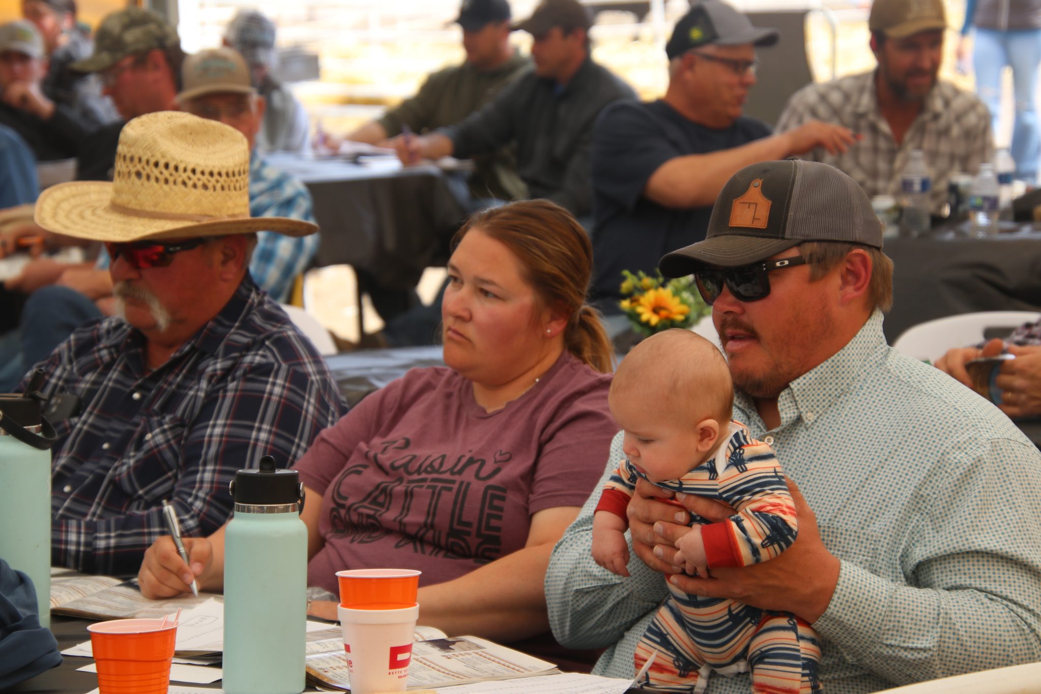 Schaack Ranch Annual Production Sale | TSLN.com