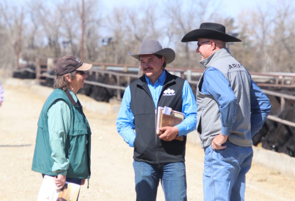 Jorgensen Land & Cattle 53rd Annual Top Cut Bull Sale | TSLN.com