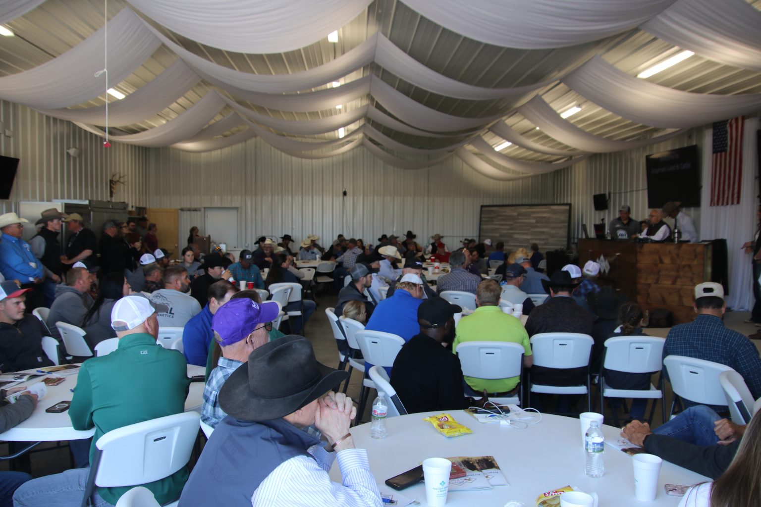 Jorgensen Land & Cattle 53rd Annual Top Cut Bull Sale | TSLN.com