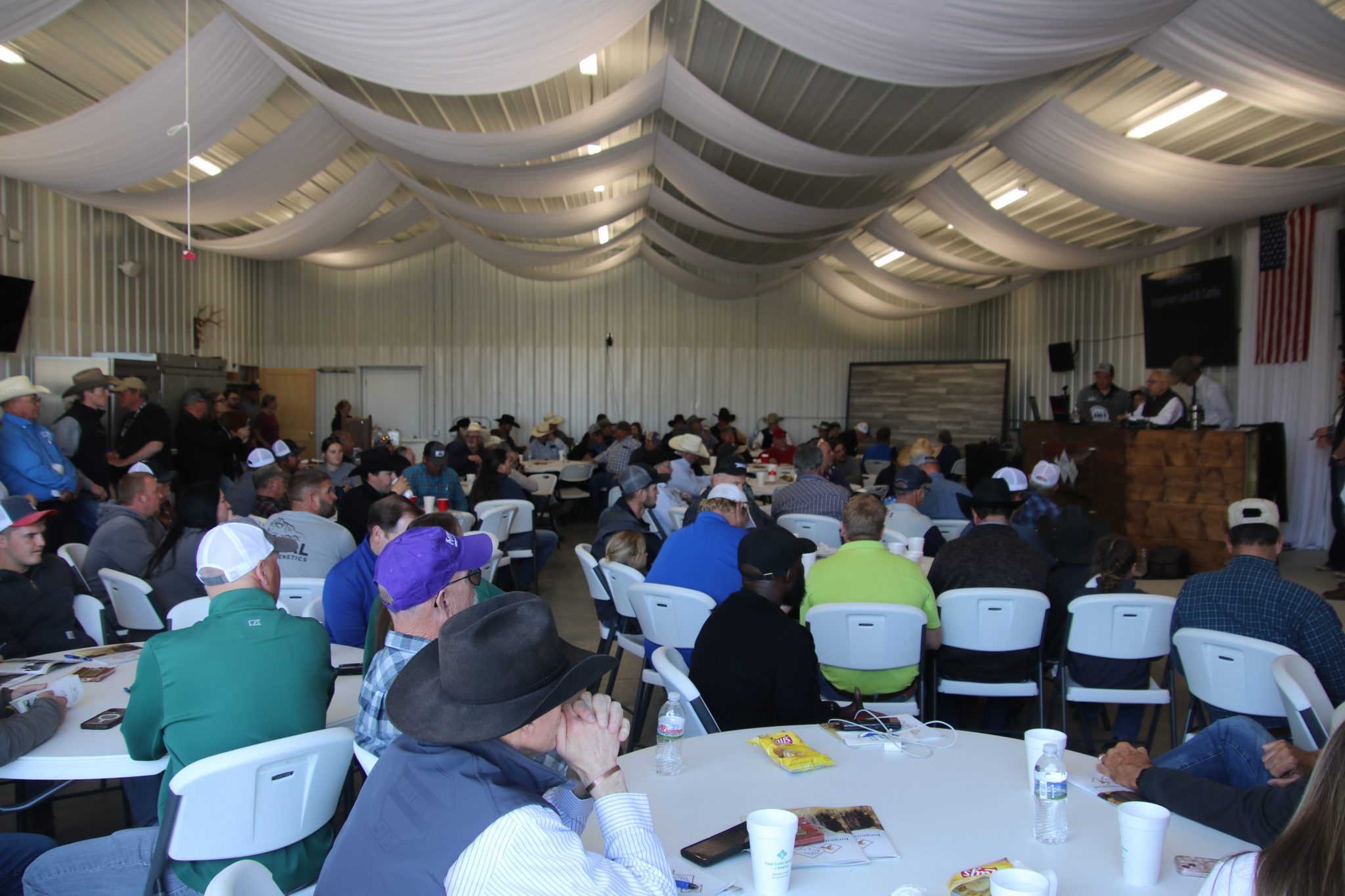Jorgensen Land & Cattle 53rd Annual Top Cut Bull Sale | TSLN.com