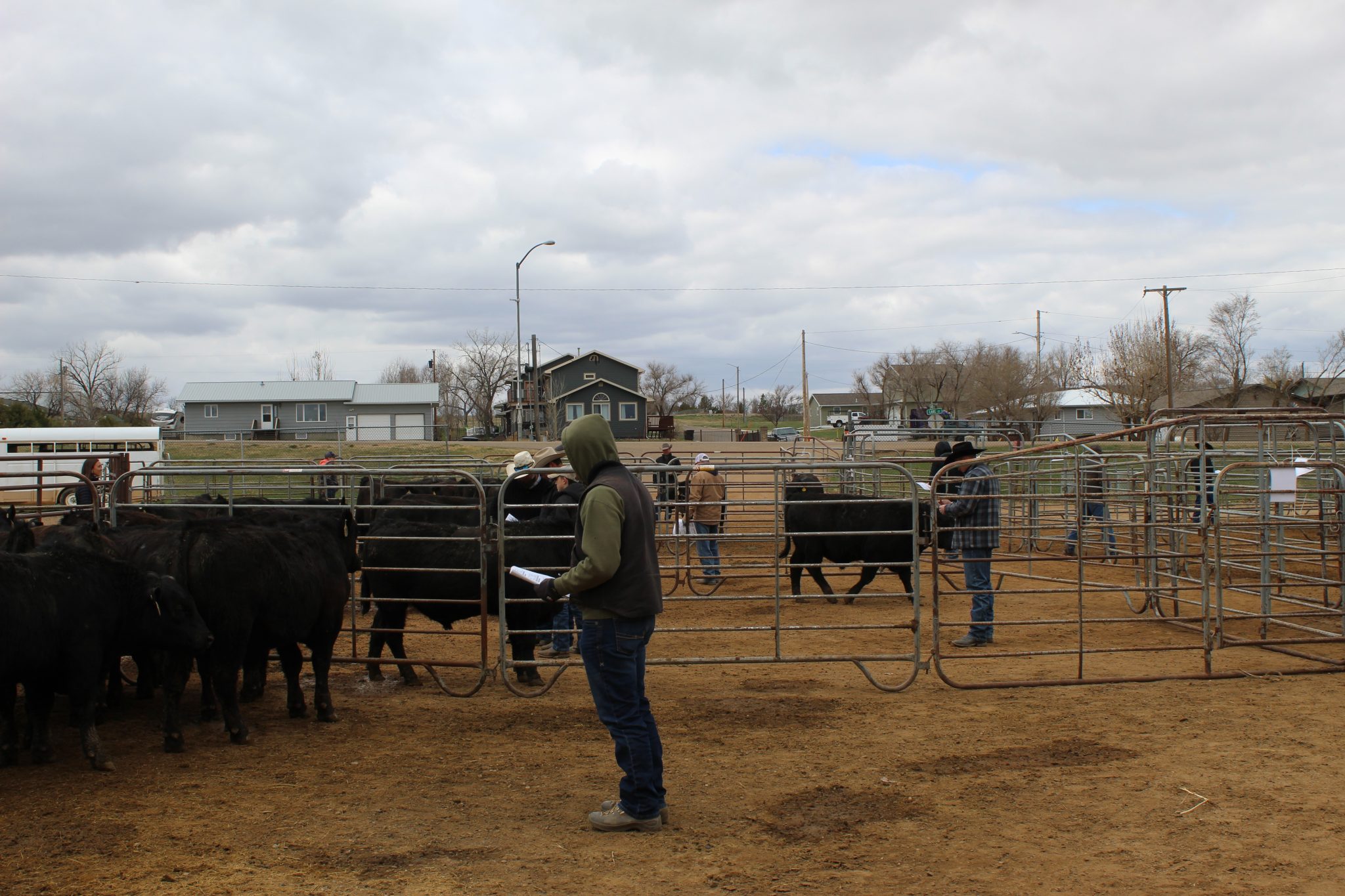 DeGrand Angus 51st Annual Bull Sale | TSLN.com