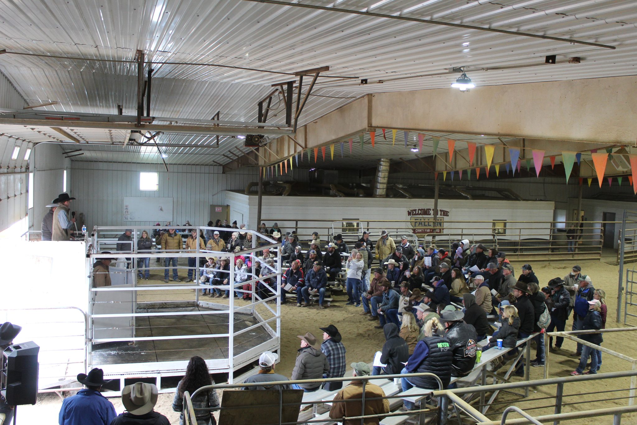 DeGrand Angus 51st Annual Bull Sale | TSLN.com