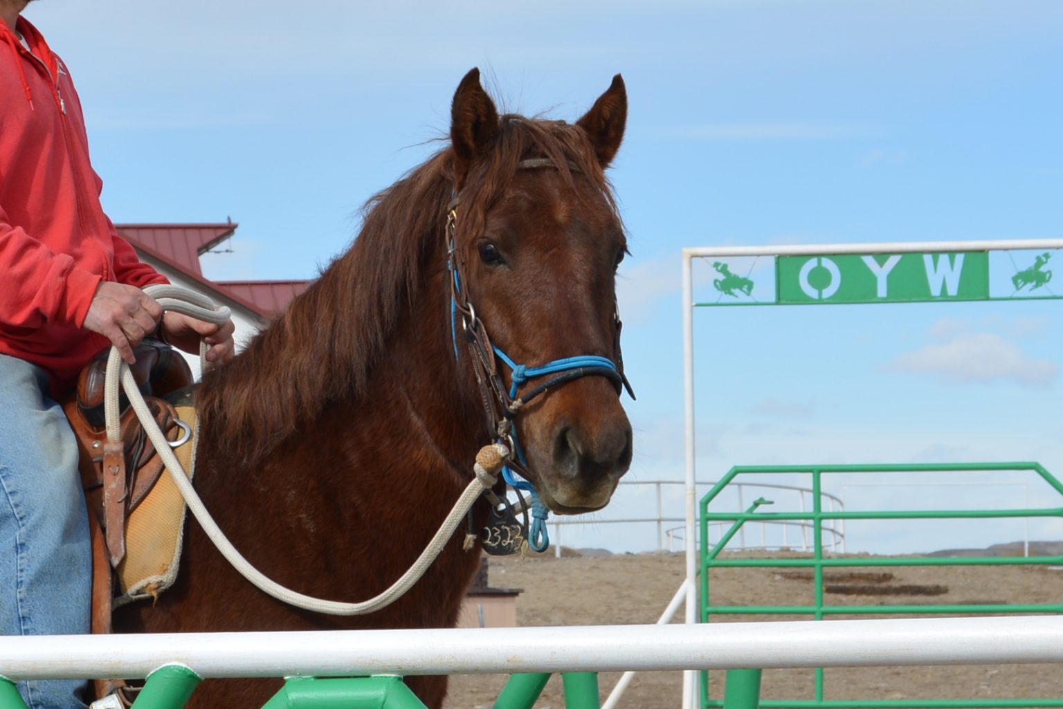 BLM and Wyoming Honor Farm place 45 gentled animals | TSLN.com