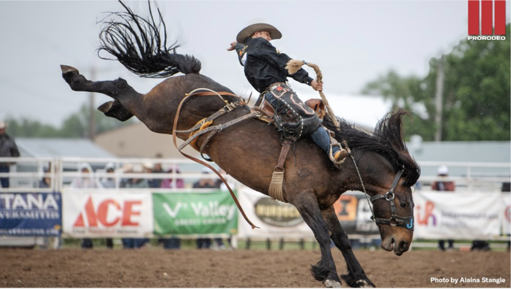 Dawson Hay wins second straight Miles City Xtreme Broncs title, third ...