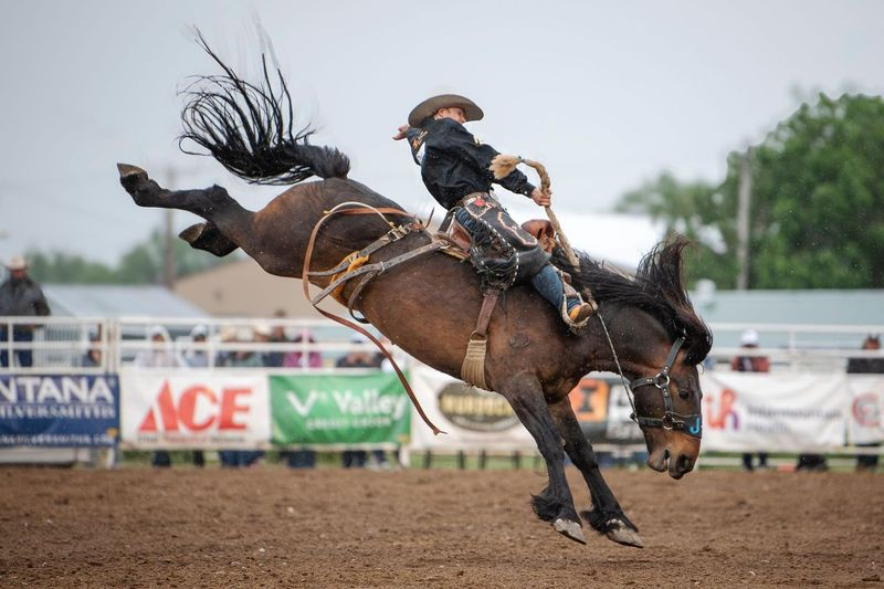 Dawson Hay wins second straight Miles City Xtreme Broncs title, third ...