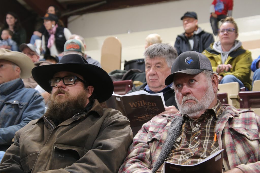 Wilken Angus Spring Turn Out Bull Sale | TSLN.com