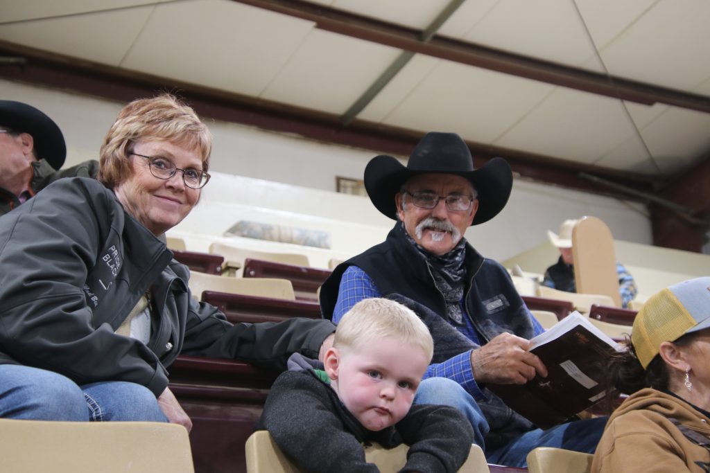 Wilken Angus Spring Turn Out Bull Sale | TSLN.com
