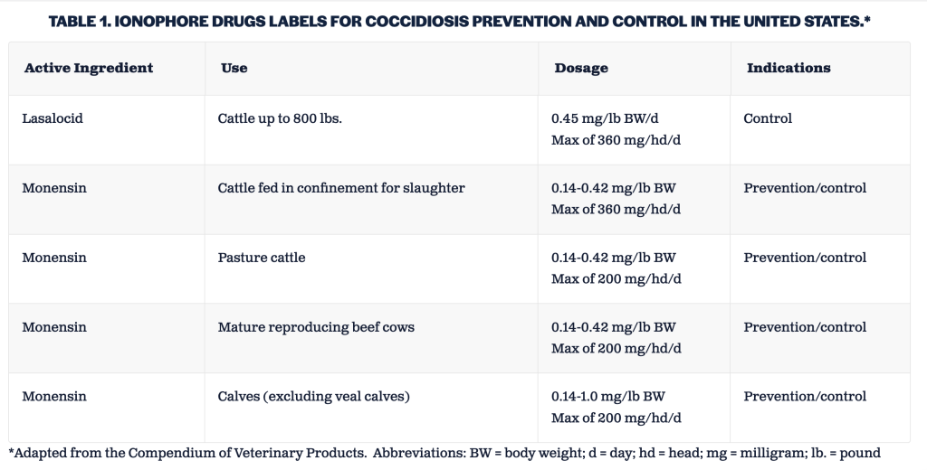 Are Ionophores the Key for Managing Coccidiosis in Calves? | TSLN.com
