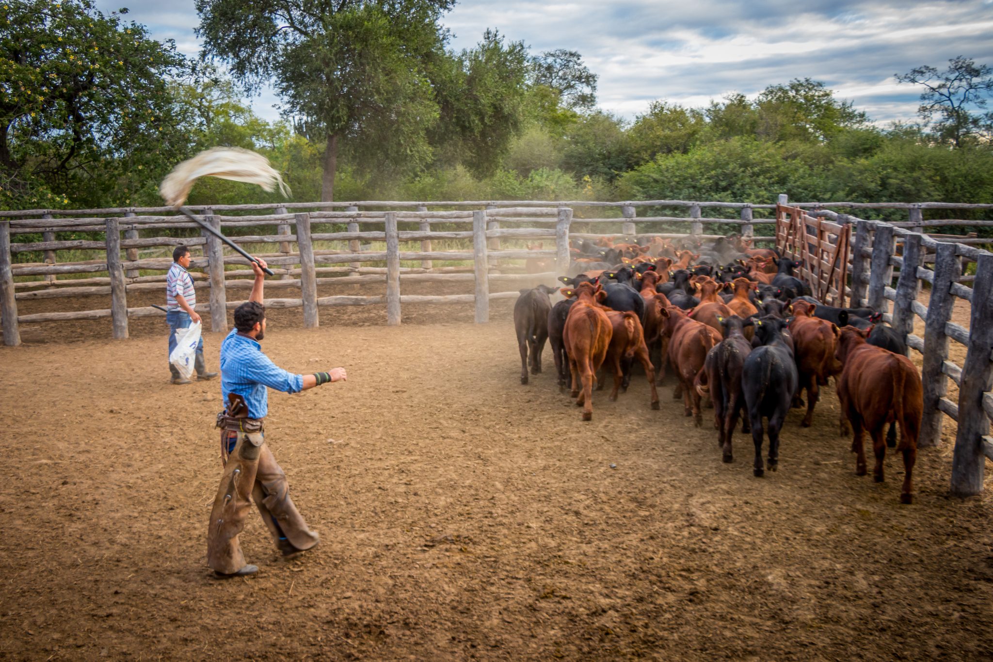 Huge beef farm in Paraguay with low costs of production hits the market ...