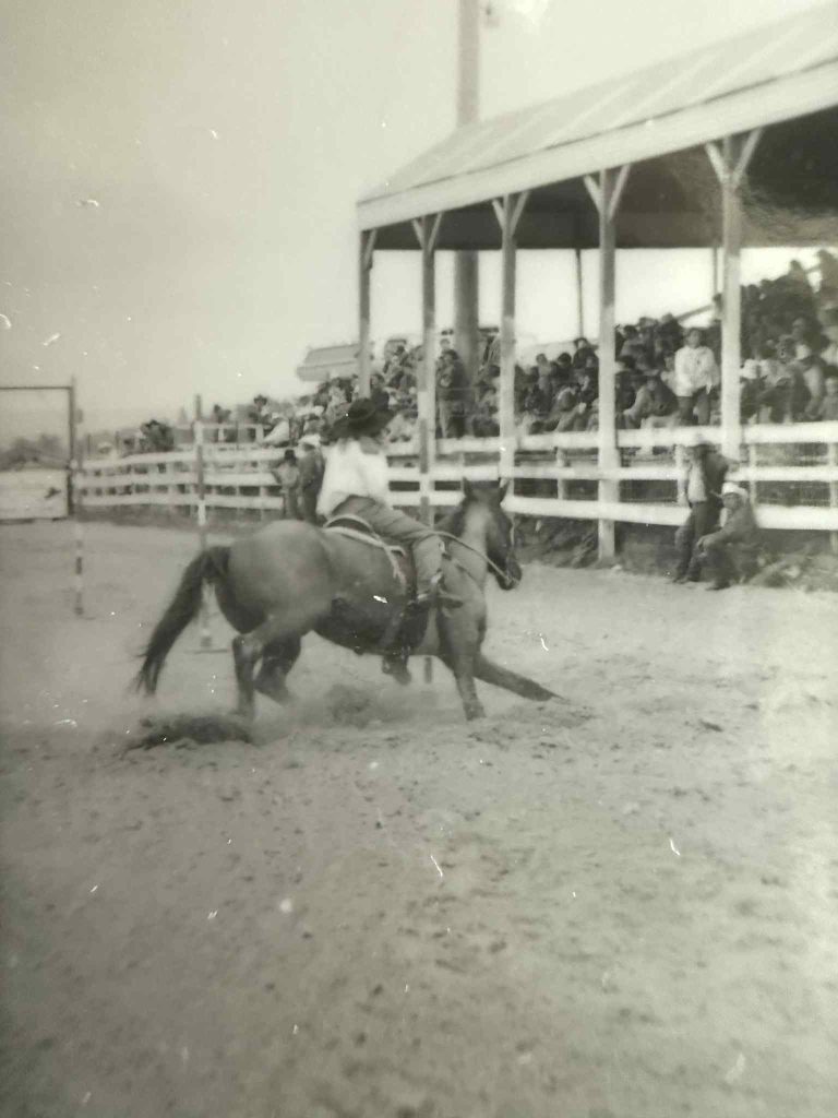 Arena Tracks: Chicken Rebel II: The High School Years | TSLN.com