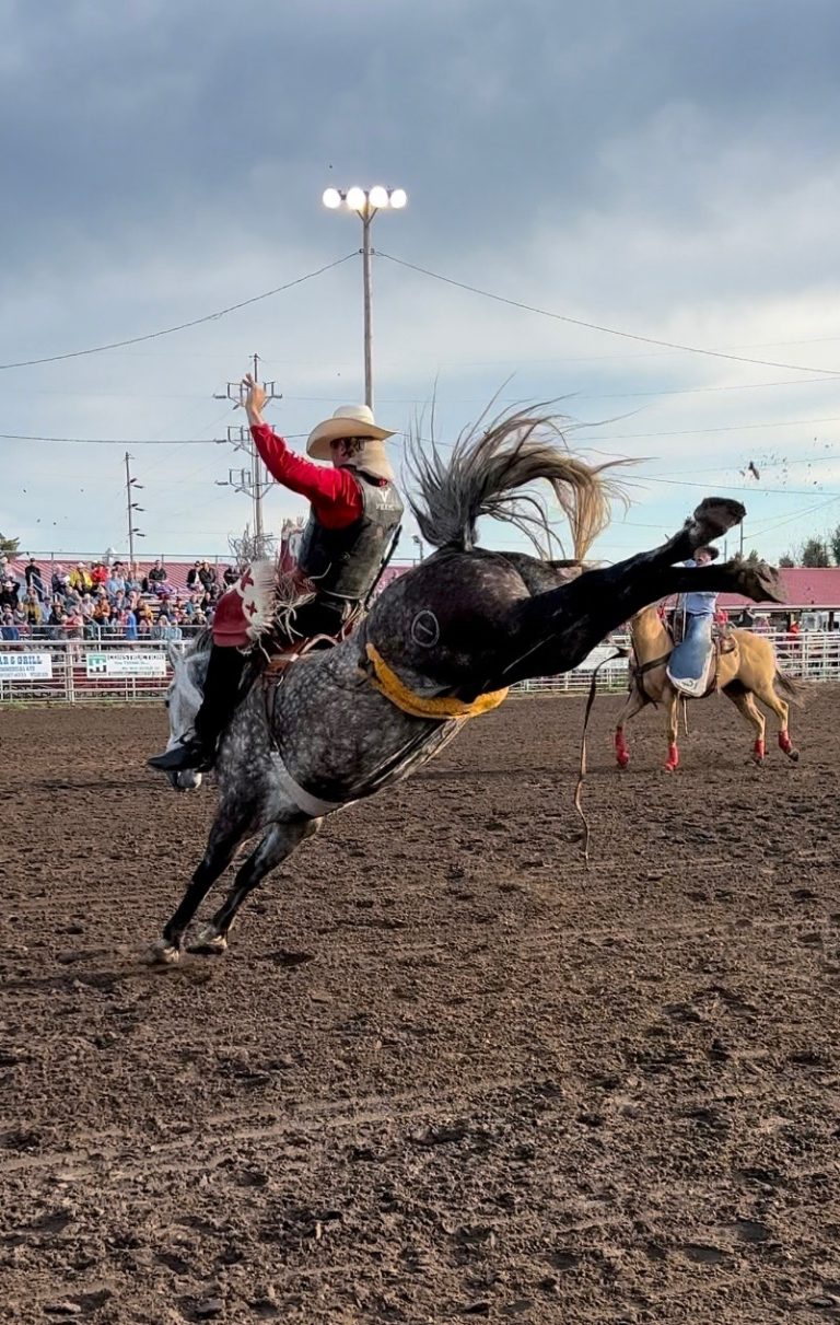 BUFFALO BILL RODEO SET FOR KICK-OFF | TSLN.com