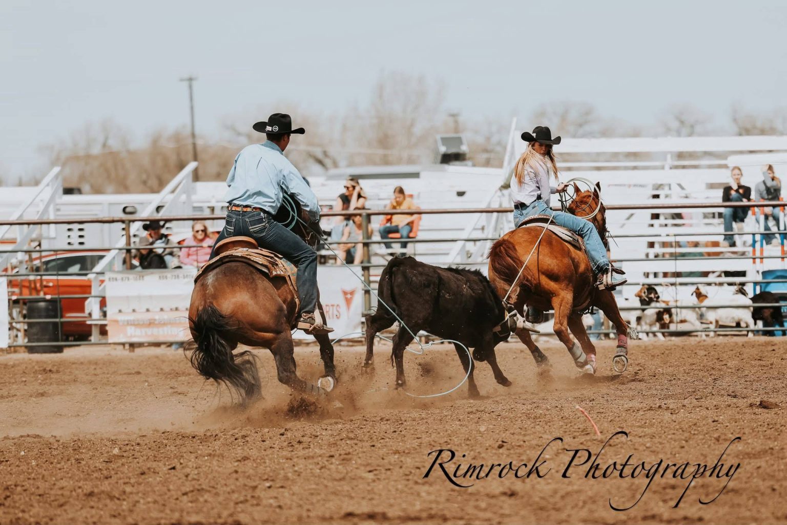 Family Ties: Siblings and Cousins Win Together at State High School ...