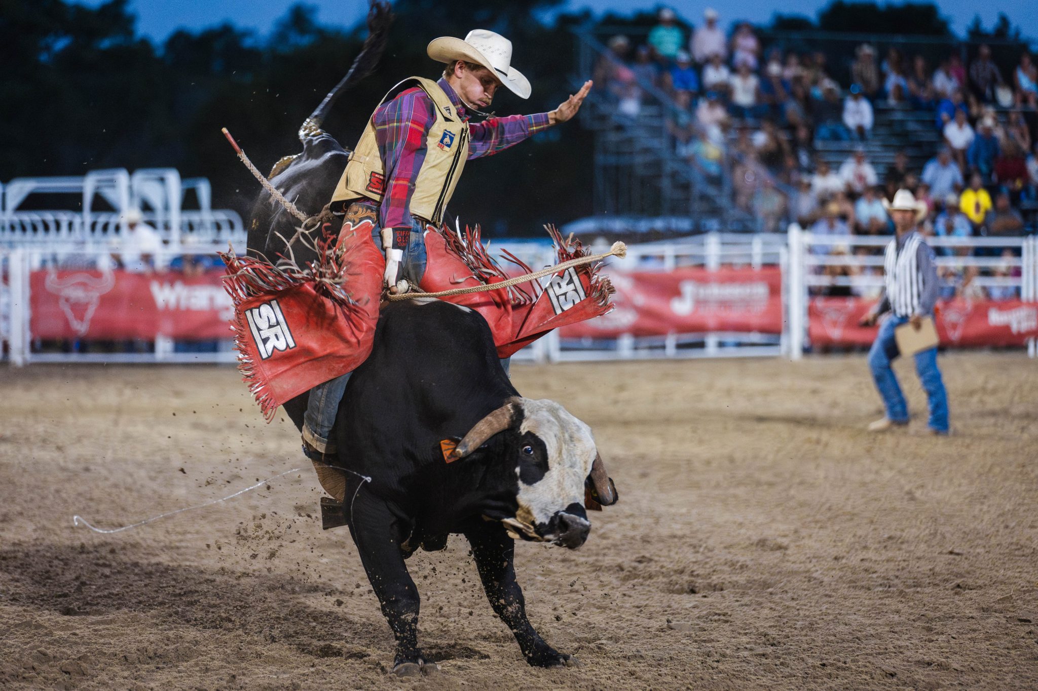 Gold Buckles Galore: College athletes among winners at Buffalo Bill ...