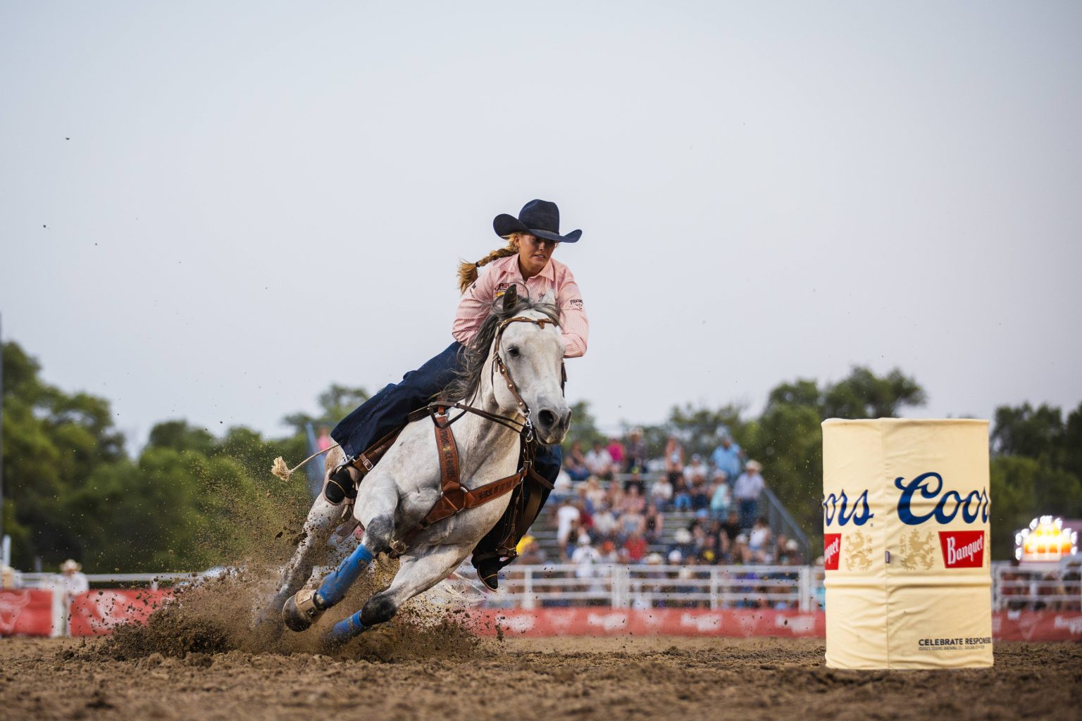 Gold Buckles Galore: College athletes among winners at Buffalo Bill ...