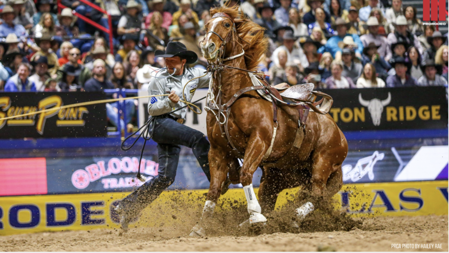 World Champion Tie-Down Roper Haven Meged sidelined by back injury ...