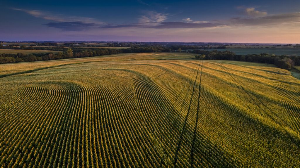NEBRASKA AG LAND VALUES FALL 2% AMID LOWER CROP PRICES, RISING COSTS ...