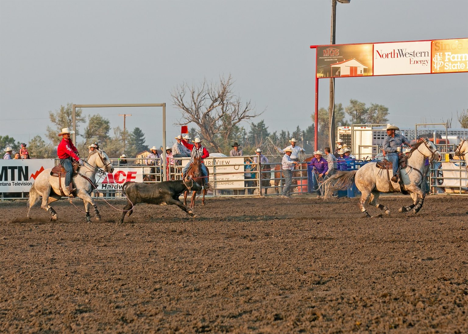 RODEO BROTHERHOOD: Two pairs of brothers are among contestants at this ...