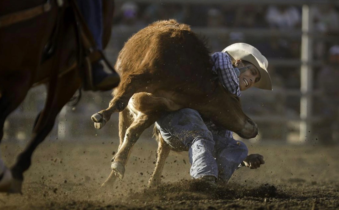 RODEO BROTHERHOOD: Two pairs of brothers are among contestants at this ...