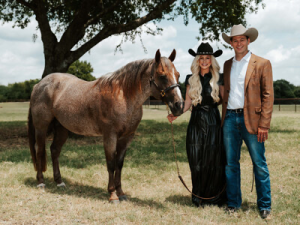 Legendary Cutting Horse Stevie Rey Von Purchased by Theorem Ranch ...