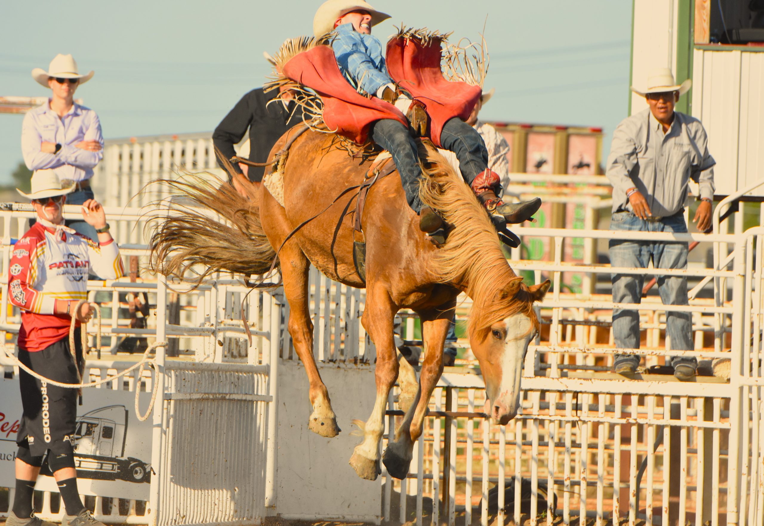 HASTINGS RODEO WRAPS UP: Nebraska cowboys, cowgirl among winners in ...