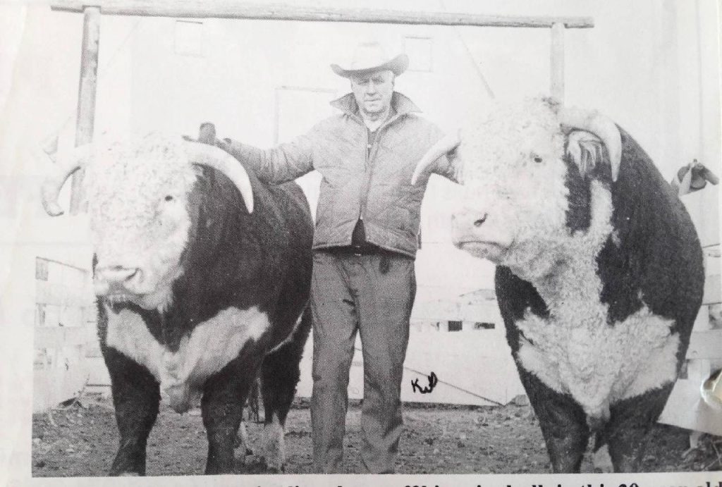 Knippling Herefords: Adaptable, Maternal Cattle | TSLN.com