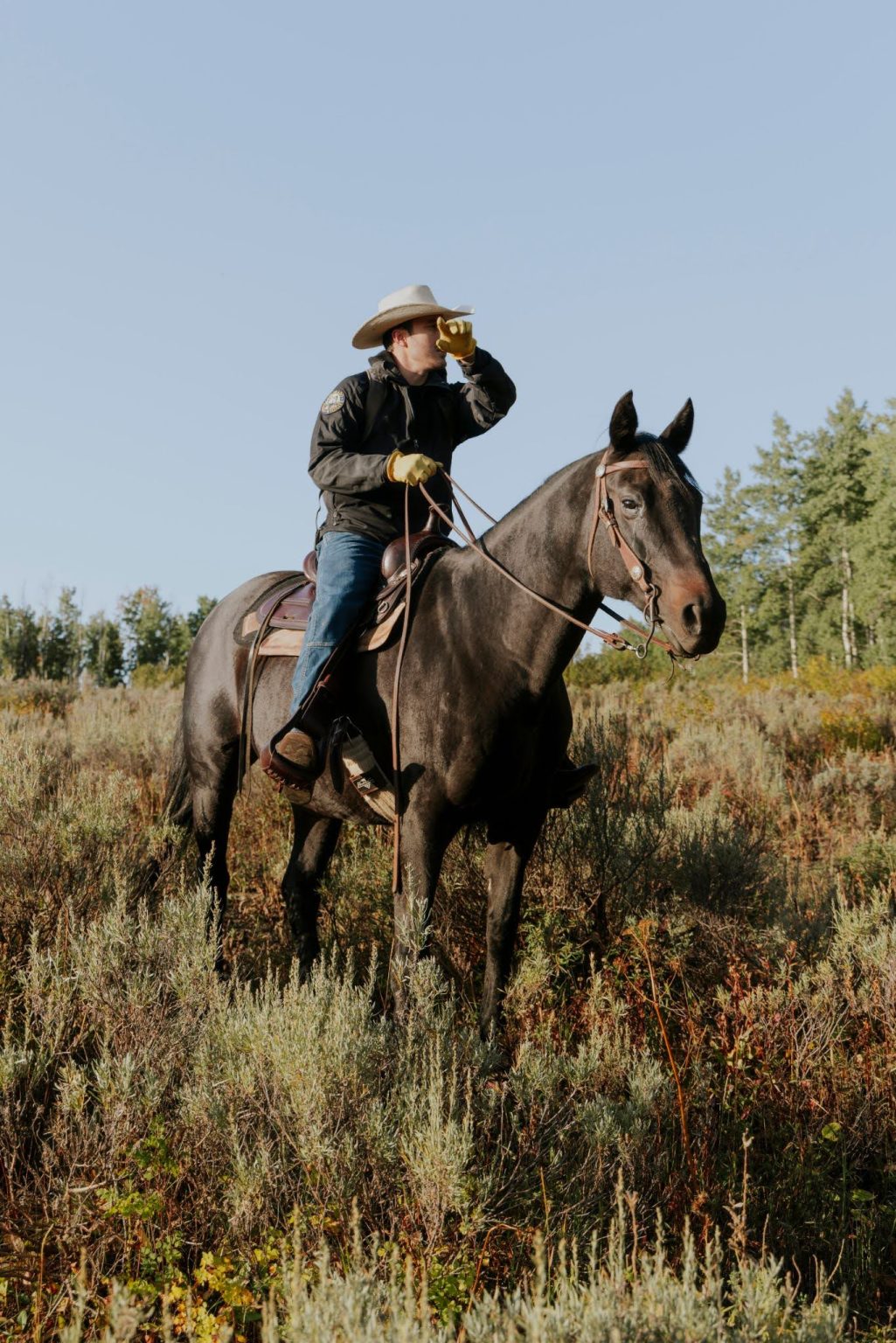 CDA’s range riders adding value for producers | TSLN.com