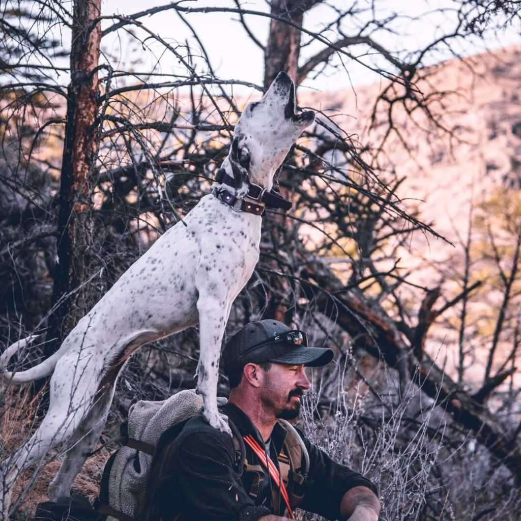 Open Season 2025 | Cold Noses and Big Cats | TSLN.com