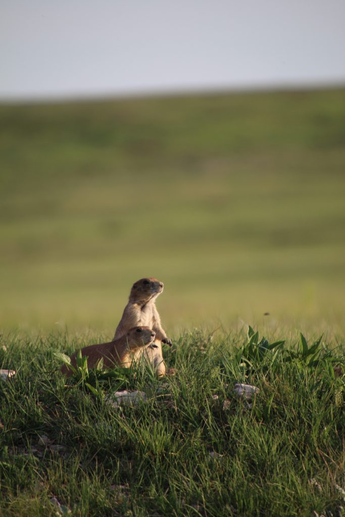 Open Season 2025 | Sharp Shooters and Small Targets | TSLN.com