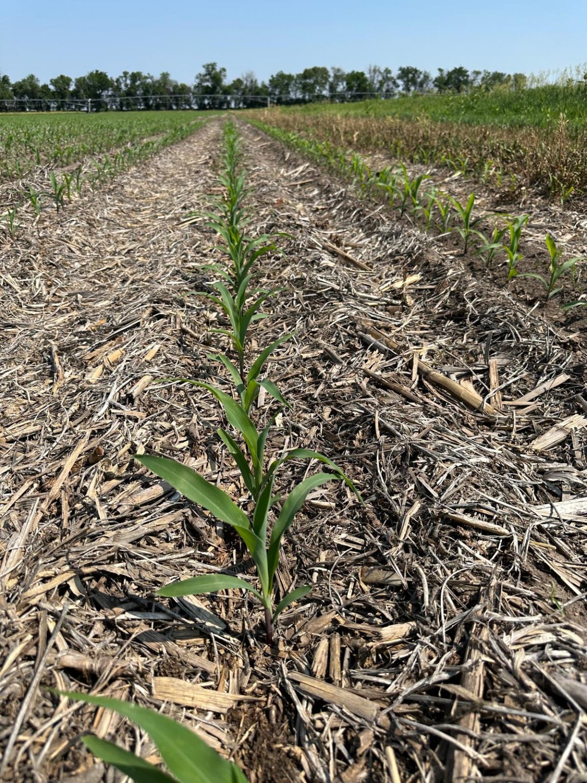 NDSU and University of Minnesota Extension partner to offer soil ...