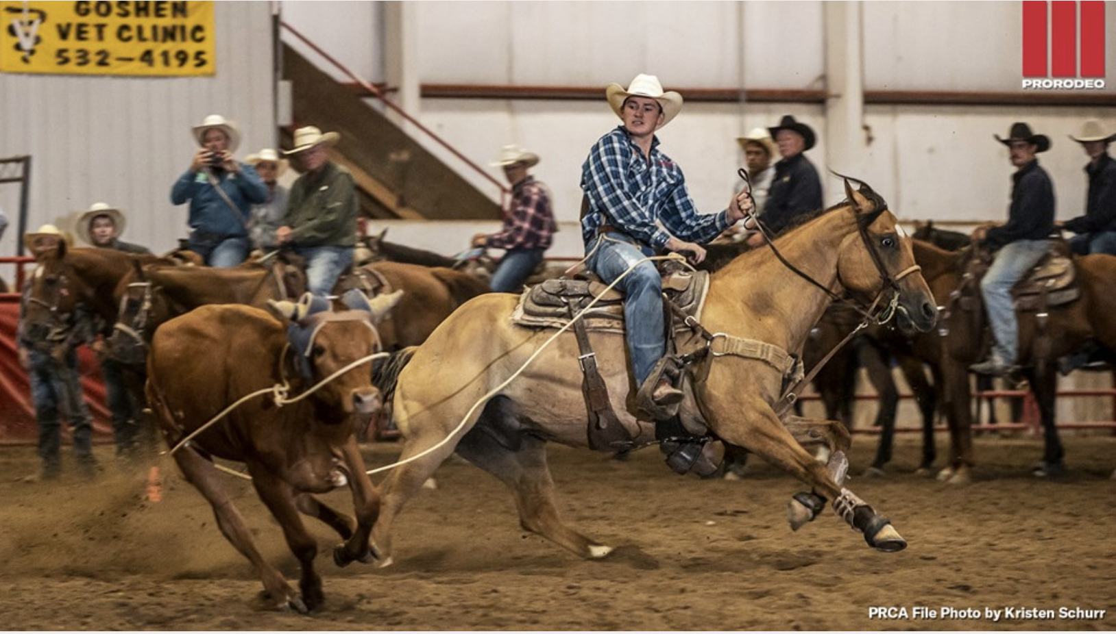 Resistol Rookie Riley O’Rourke making a run at steer roping history ...