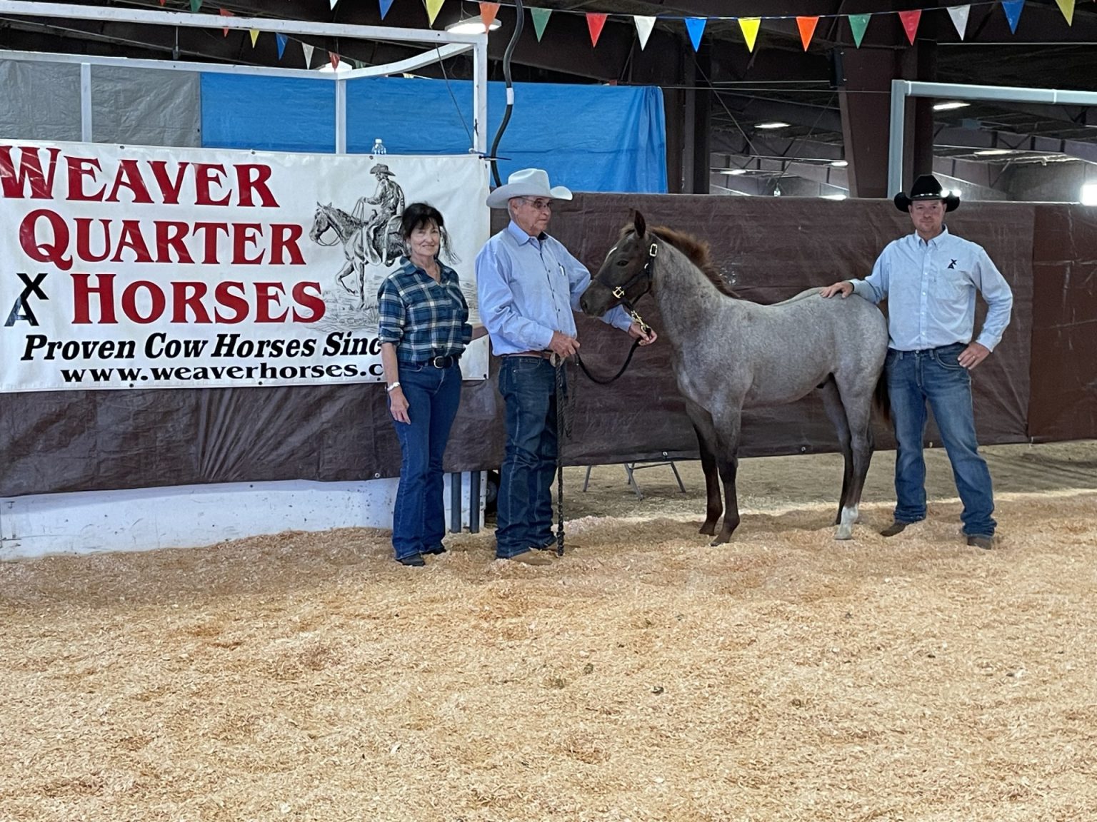 Weaver Quarter Horses | TSLN.com