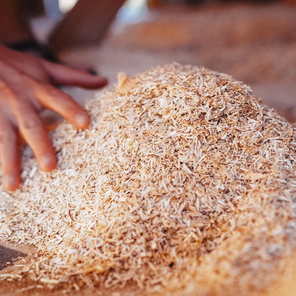 Wyoming Hemp Company: 2025 Fall Homeland & Future Growth - News Usa Today