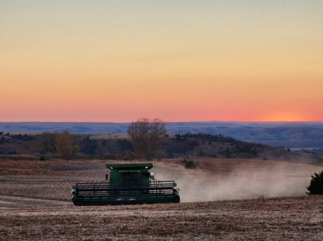 Fall Cattle Journal 2025 | Larson Ranch | TSLN.com