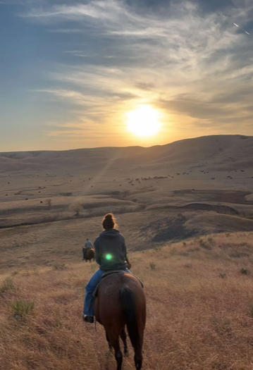 Fall Cattle Journal 2025 | Larson Ranch | TSLN.com