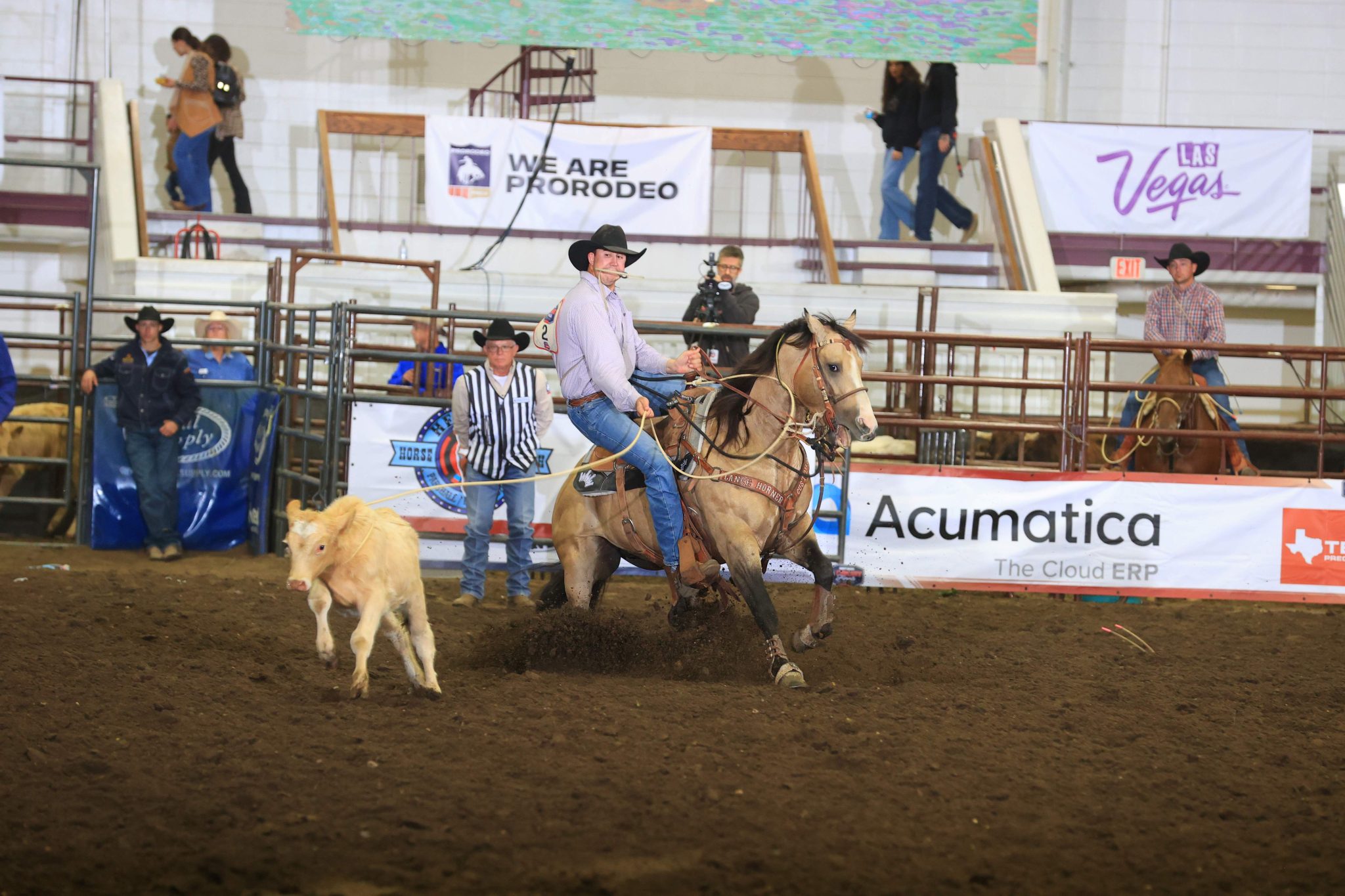 Champions on hooves: Badlands Circuit celebrates rodeo horses | TSLN.com