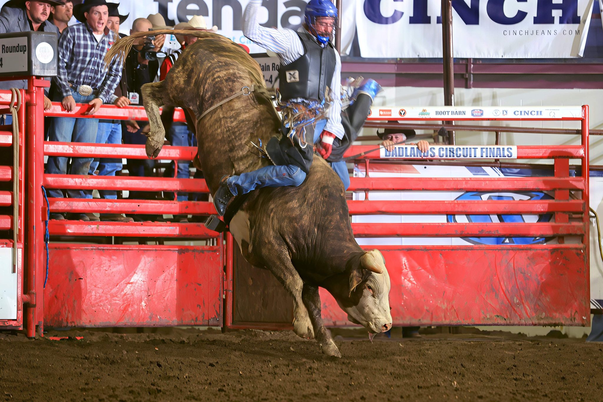 Top Stock: Award-Winning Bucking Horses and Bulls of the Badlands ...