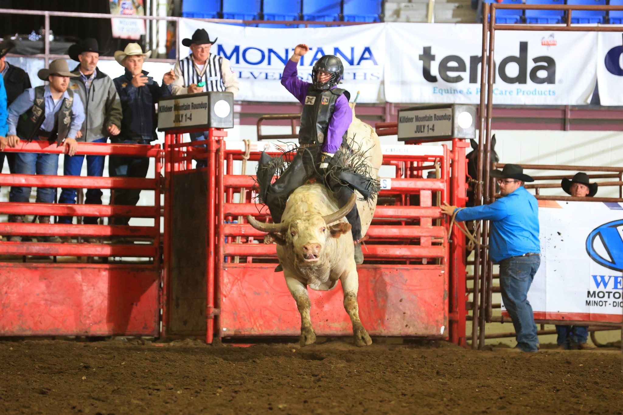 Top Stock: Award-Winning Bucking Horses and Bulls of the Badlands ...