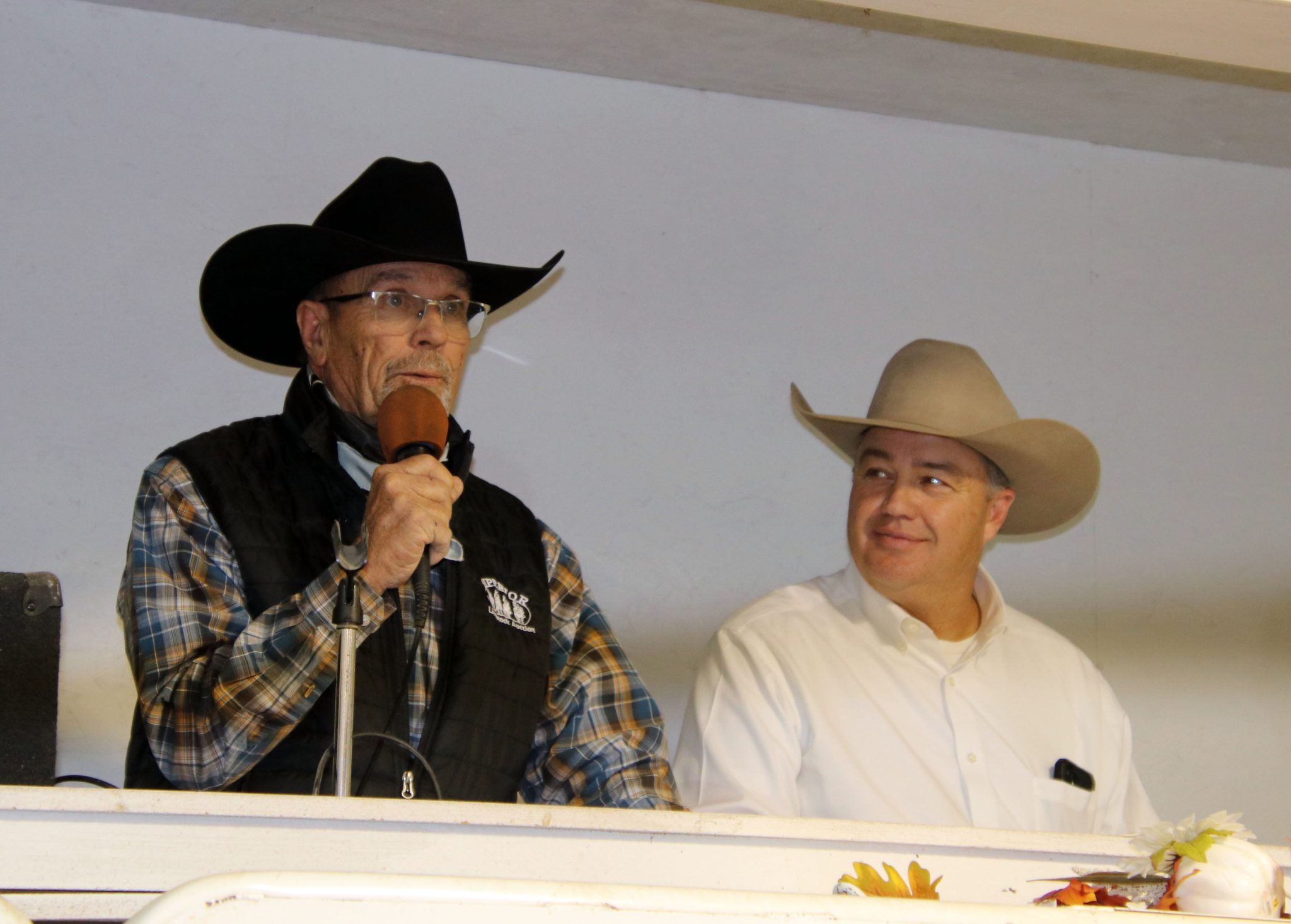 Pieper Red Angus Fall Run Production Sale | TSLN.com