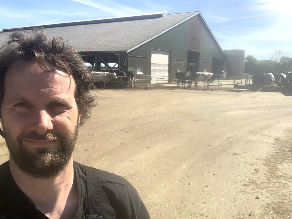 Angry Danish dairy farmers stop feeding Bovaer accusing it of poisoning ...