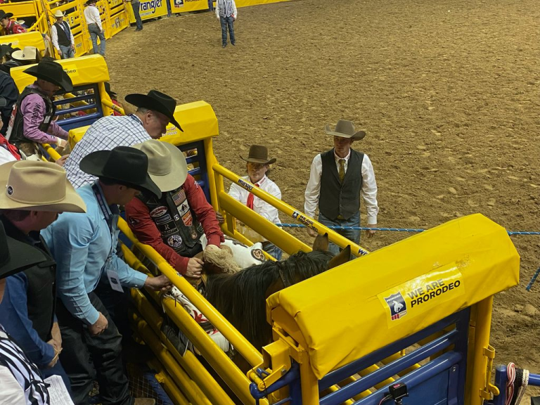 MORE THAN A STAGEHAND AT THE NATIONAL FINALS RODEO | TSLN.com