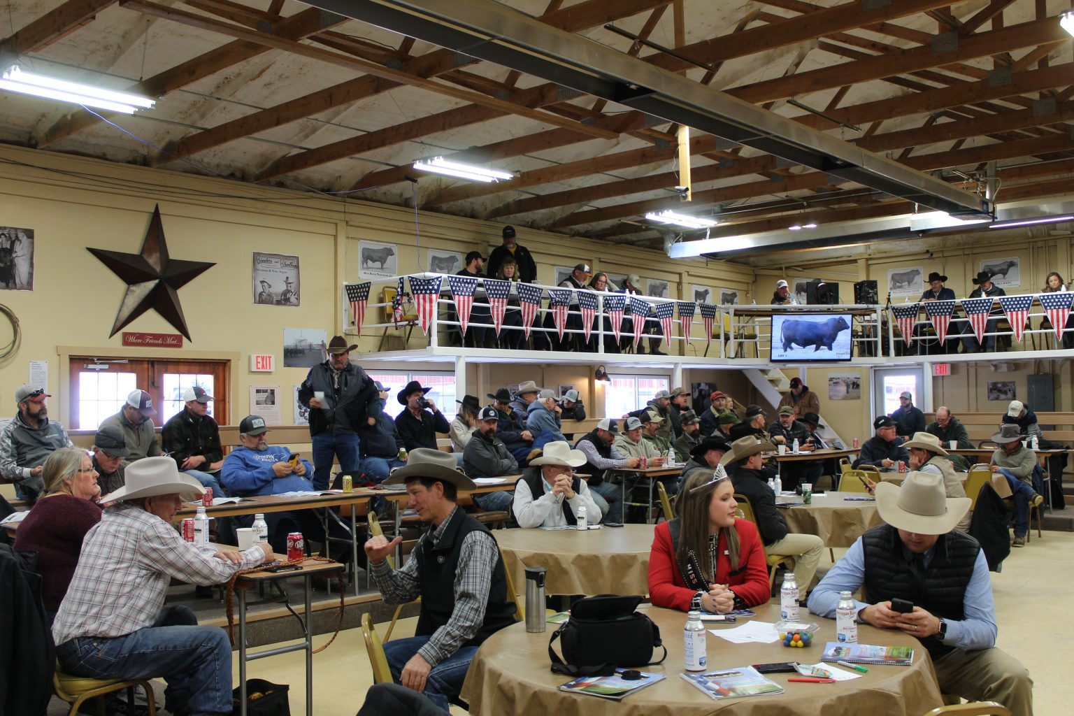 Stevenson Angus 65th Annual Production Sale | TSLN.com