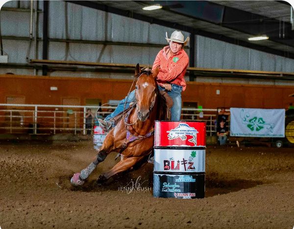 Stallion Showcase 2026 | Wood’s Performance Horses: Focused on Horses ...