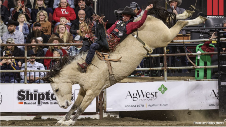 Shadbolt wins Chase Hawks Rough Stock Rodeo fresh off NFR | TSLN.com