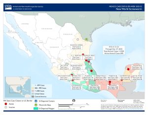 Screwworm Detected in Tamaulipas, Sterile Flies Key to Combat Pest ...