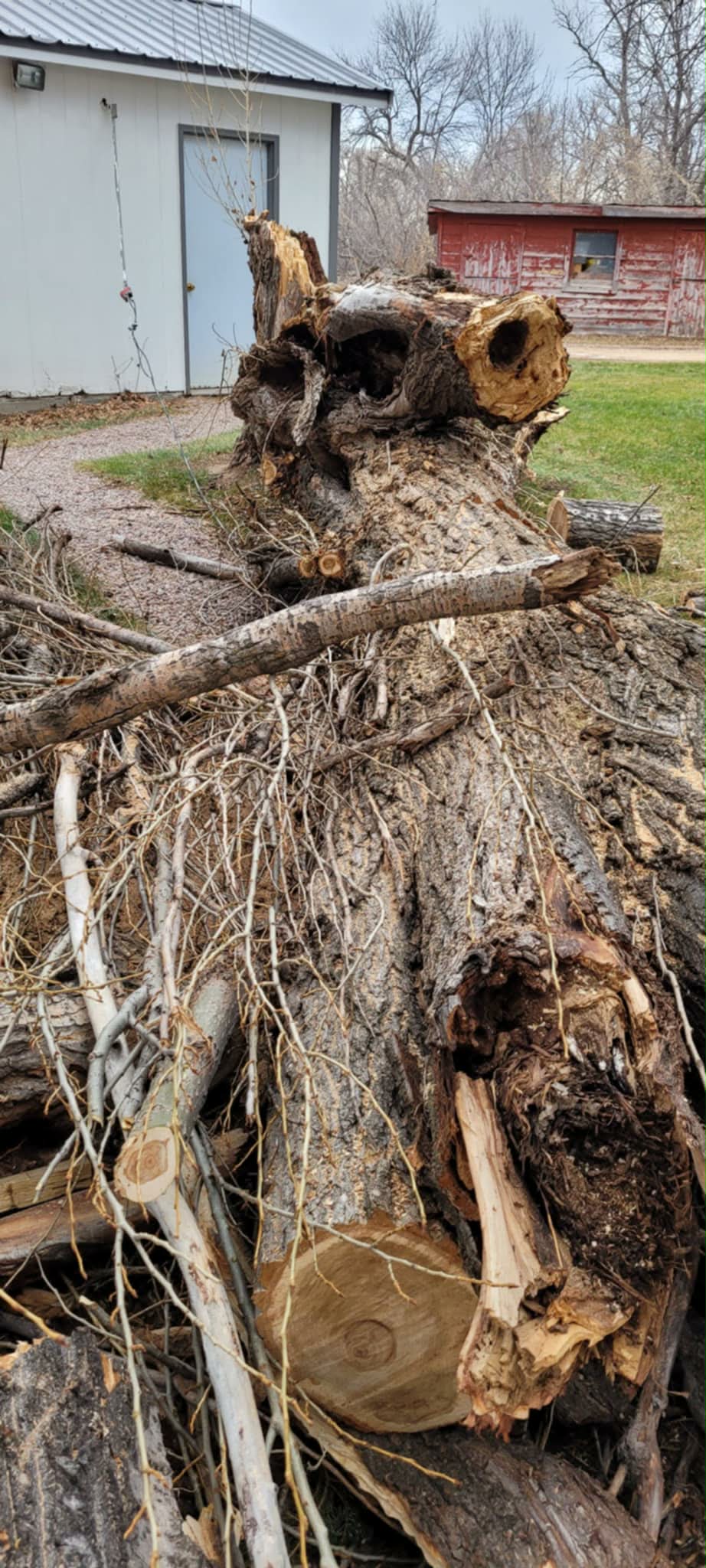 Blown Away: December 17-18, 2025 wind storm breaks records | TSLN.com