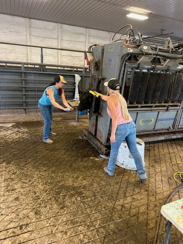 2026 Winter Cattle Journal | Edgar Brothers Angus: A Solid Foundation ...