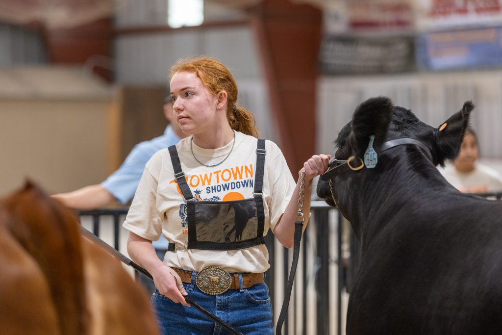 2026 Winter Cattle Journal | Ellingson Simmental | TSLN.com
